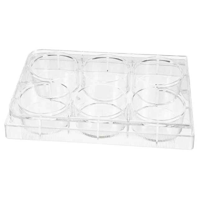 LABORATORY TISSUE CULTURE Plate Cell Culture Tray With Lid For Lab Work ...
