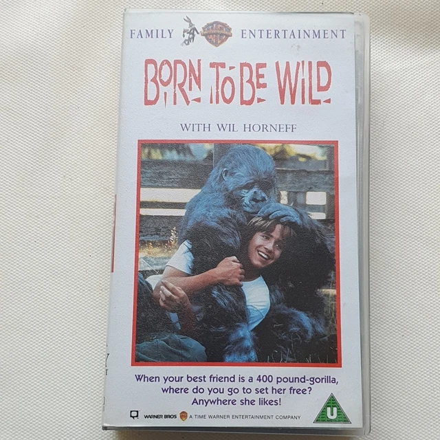 BORN TO BE Wild (VHS/SUR, 1996) £5.00 - PicClick UK