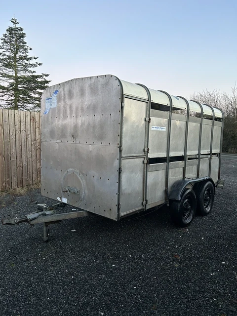 IFOR WILLIAMS STOCK Box Cattle Trailer 12x6 £795.00 - PicClick UK