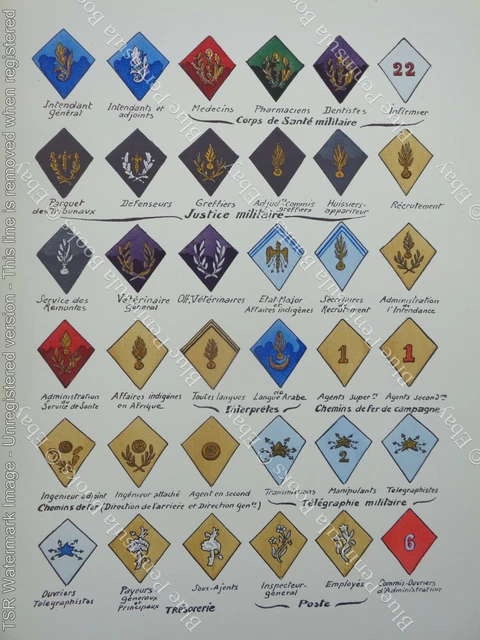 MILITARIA ARMY MISCELLANEOUS Services Collar Legs Badges Board ...