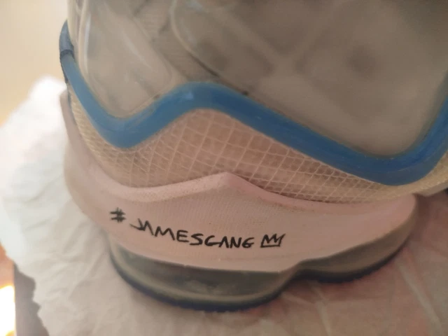 LEBRON JAMES SIGNED Shoes Autograph Jamesgang EUR 2.000,00 - PicClick FR