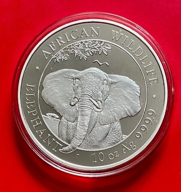 10 OZ SILBER SOMALIA ELEFANT 2021 African Wildlife EUR 450,00 - PicClick DE