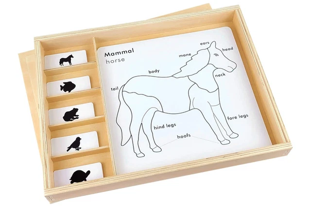 ANIMAL PUZZLE ACTIVITY Set - MONTESSORI BIOLOGY / ZOOLOGY MATERIALS $49 ...