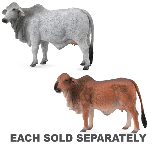 COLLECTA REALISTIC ANIMAL Replica Brahman Cow Action Figure Large Ages ...