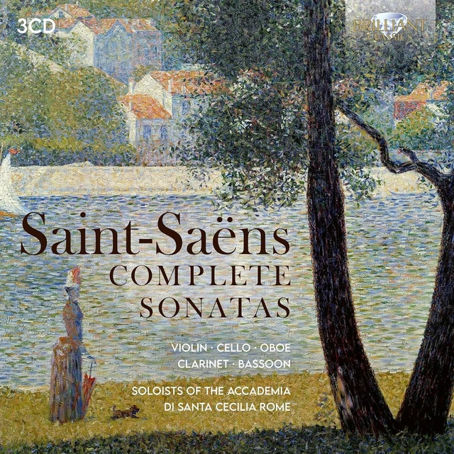 CAMILLE SAINT-SAENS SAINT-SAËNS: Complete Sonatas (CD) Box Set EUR 19,51 - PicClick FR