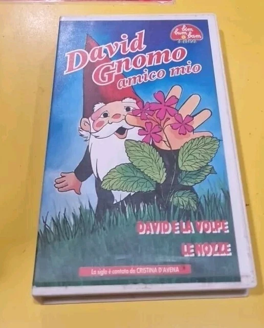 BIM BUM BAM David Gnomo Amico Mio VHS EUR 19,99 - PicClick IT