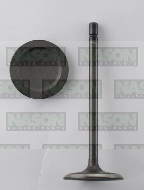 12 X INLET Intake Valve Holden Commodore Ve Vf 3.6L 3.0L Lfx Lf1 Lfw ...