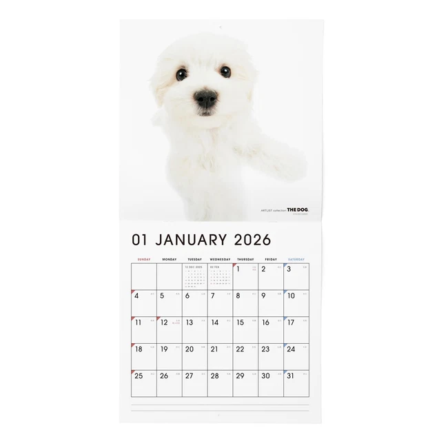 LE CALENDRIER DES Chiens 2026 Murale Grande Taille Maltais Japon EUR 43 ...