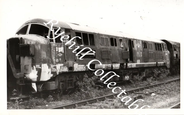DIESEL RAIL PHOTO Woodhams scrap yard Barry (RC 22121) D601 Ark Royal ...