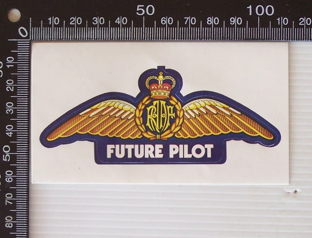 VINTAGE RAAF FUTURE Pilot Royal Australian Air Force Raaf Logo Promo ...
