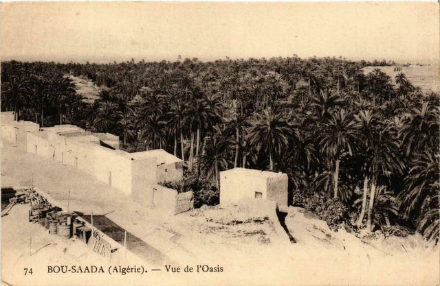 CPA AK ALGERIA Geiser 74 BOU-SAADA Vue de l'Oasis (757646) EUR 7,99 ...