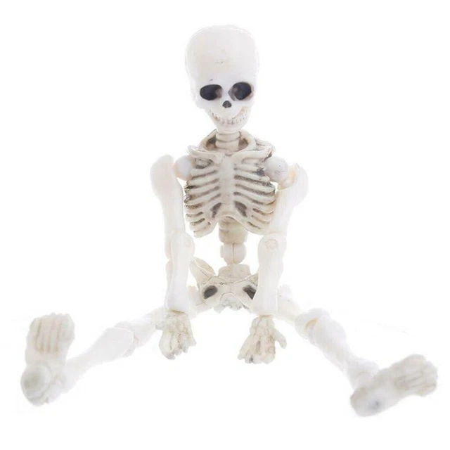 MINI FIGURE TOY Skeleton Funny Skull Full Body New Movable Mr. Bones ...