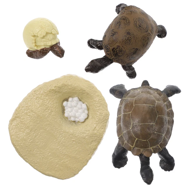 LIFE CYCLE MODELS Tortoise Figurine Turtle Life Cycle Figurines £9.53 ...