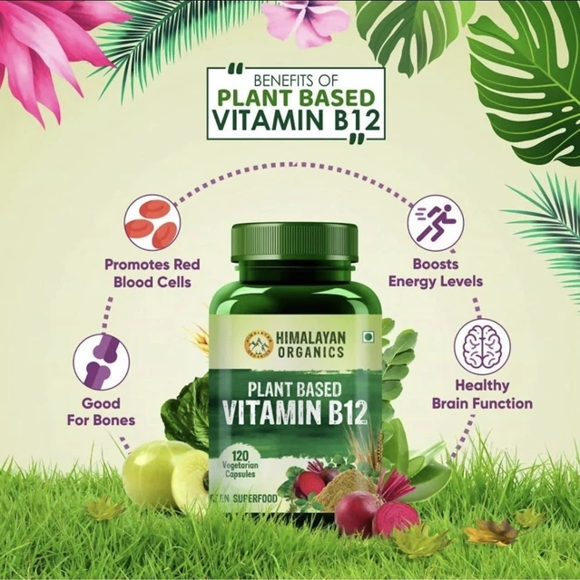 HIMALAYAN ORGANICS VITAMIN B12 120 Vegetarian Capsules. £22.99 ...