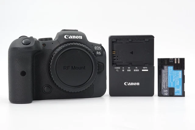 CANON EOS R6 20.1MP Mirrorless Camera - Black (Body Only) Shutter Count ...