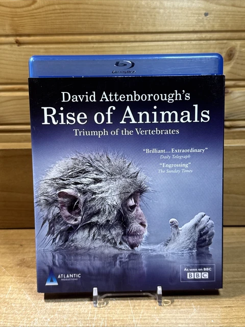 DAVID ATTENBOROUGH'S RISE of Animals: Triumph of the Vertebrates (Blu ...