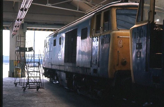 ORIGINAL COLOUR SLIDE of D7000 BR class 35 Hymek diesel hydraulic loco ...