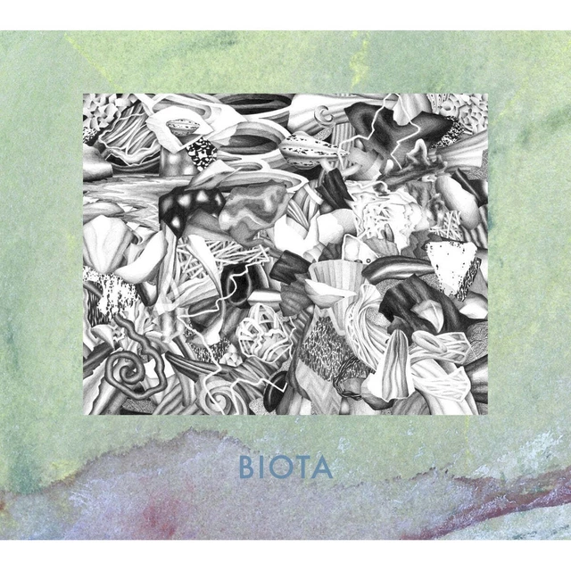 BIOTA MEASURED NOT Found (CD) Album EUR 18,92 - PicClick FR