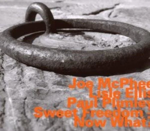 JOE MCPHEE SWEET Freedom - Now What? (CD) Album EUR 19,99 - PicClick FR