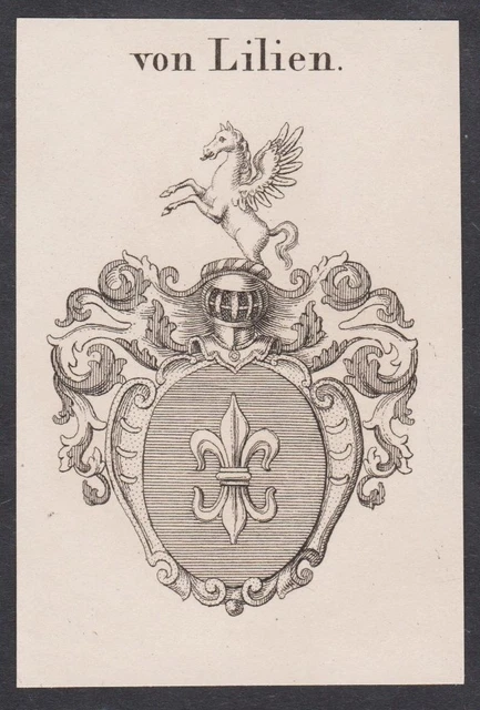 LILIEN WAPPEN BLASON Héraldiques Généalogie Gravure 1820 EUR 15,18 ...