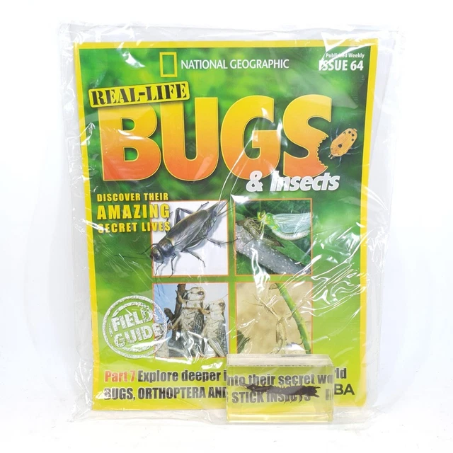 NATIONAL GEOGRAPHIC REAL Life Bugs & Insects #64 Dobsonfly Larva ...