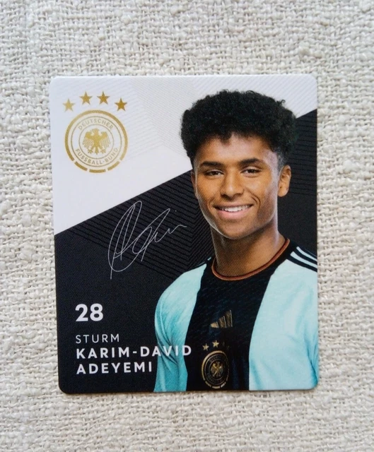 CARTE DE COLLECTION REWE DFB football Coupe du monde 2022 28 Karim ...