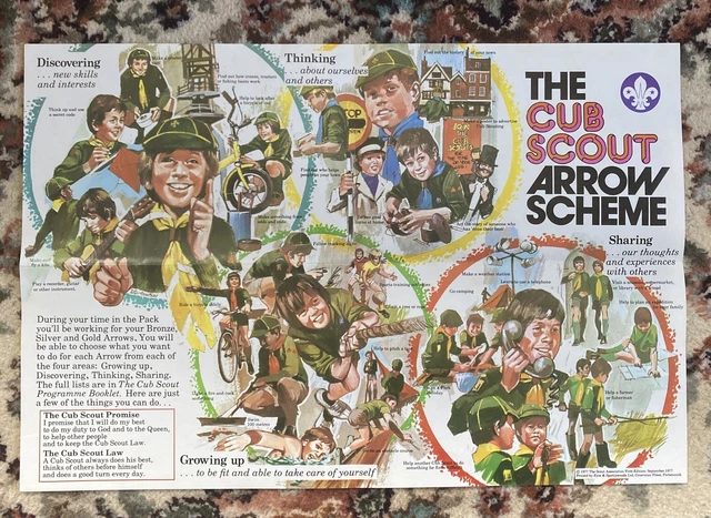 VINTAGE CUB SCOUT Arrow Scheme Poster Circa 1977 Scout Association £10. ...
