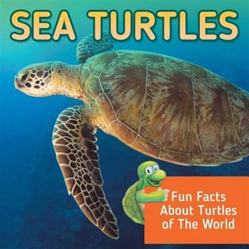 SEA TURTLES: FUN Facts about Turtles of the World by Professor, Baby ...
