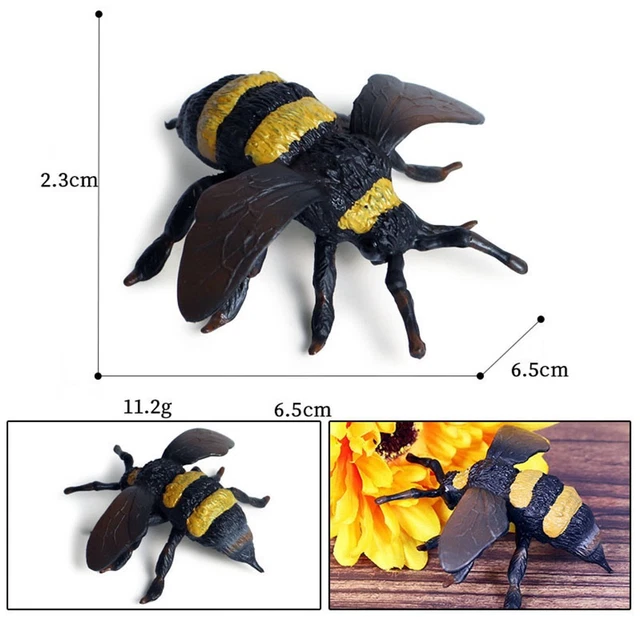 INSECTE MODÈLES SIMULÉ Animal Plastique Matériel Réaliste Cours ...