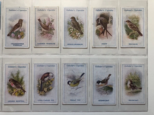 A COMPLETE SET Of Gallaher Cigarette Cards British Birds By George ...