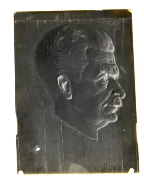 PLAQUE PHOTOGRAPHIQUE NEGATIF VERRE ANNEES 1950 médaillon Terre glaise ...