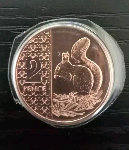 2025 BRILLIANT UNCIRCULATED Red Squirrel 2p Coin from set. £1.75 ...