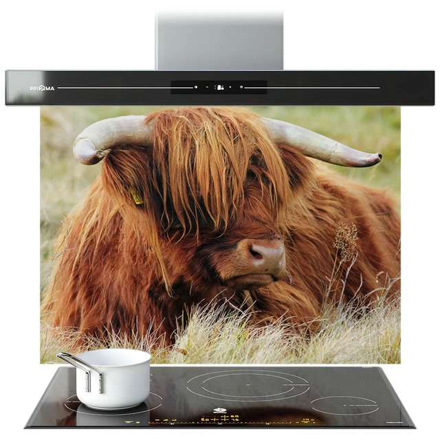 GLASS SPLASHBACK KITCHEN Tile Cooker Panel ANY SIZE Highland Cow Bull ...