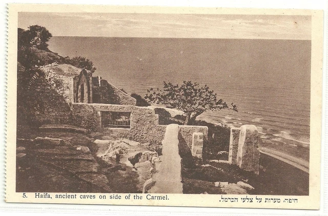 JUDAICA PALESTINE OLD Postcard Haifa Ancient Caves Carmel By Ben Dov ...