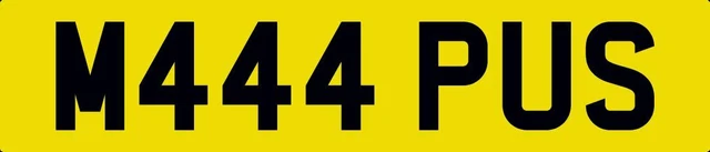 MAPPA TARGA US Mappe Mappatura Tuning Garage M444 Pus Uk Targa Privata ...