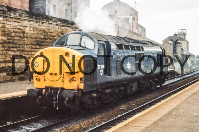 UK DIESEL TRAIN Railway Photograph Of Class 37 37009 Loco. Rm37-19 £1. ...