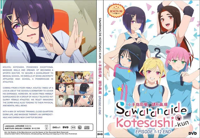 ANIME DVD HANDS Off: Sawaranaide Kotesashi-kun Vol.1-12End (Uncensored ...