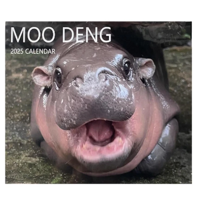 2025 MOO DENG Calendar, 2025 Moo Deng Pygmy Hippo Monthly Calendar Wall ...