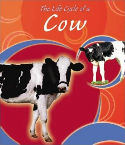 THE LIFE CYCLE of a Cow (Life Cycles) by Lisa Trumbauer $6.09 - PicClick AU