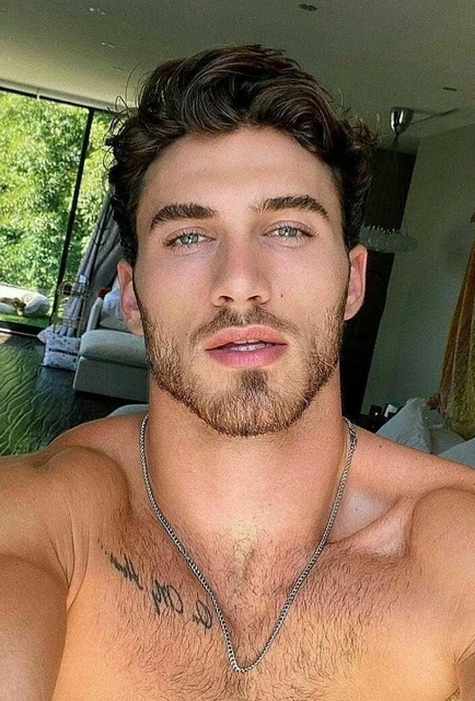 Shirtless Male Muscular Handsome Hairy Chest Man Guy Beefcake Photo 4x6