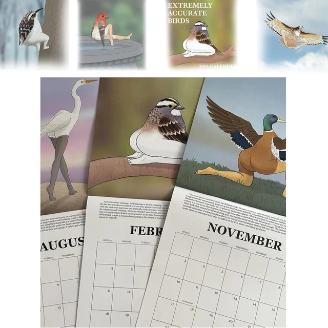 PAPER 12 MONTHLY Birds Calendar Planner Hanging Calendar Home ...