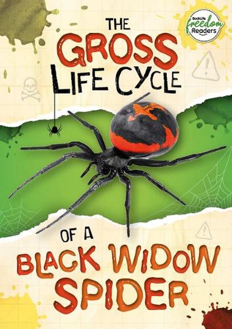 The Gross Life Cycle Of A Black Widow Spider By William Anthony 2951