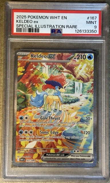 2025 POKÉMON WHITE FLARE EN KELDEO ex SPECIAL ILLUSTRATION RARE #167 💎 ...