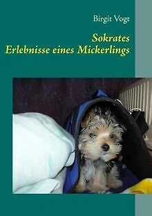 SOKRATES: ERLEBNISSE EINES Mickerlings de Vogt, Birgit | Livre | état ...