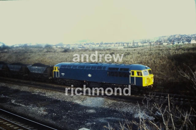 56073 CODNOR PARK MGR Train Class 56 Diesel 1 Feb 1985 Original 35mm ...