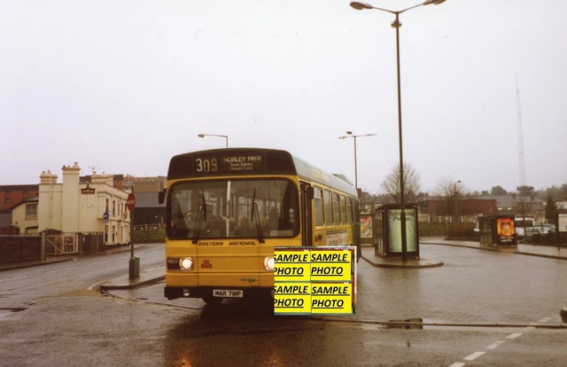 FIRST EASTERN NATIONAL Colour Bus Photograph-MAR 791P Route 305 £1.00 ...