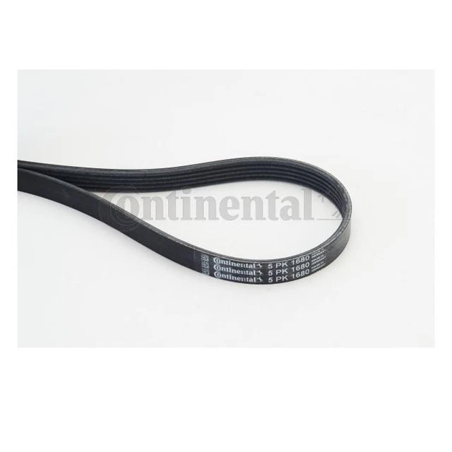 CONTINENTAL CTAM 5PK1680 Courroie Trapézoïdiale pour Opel Astra G Cc ...