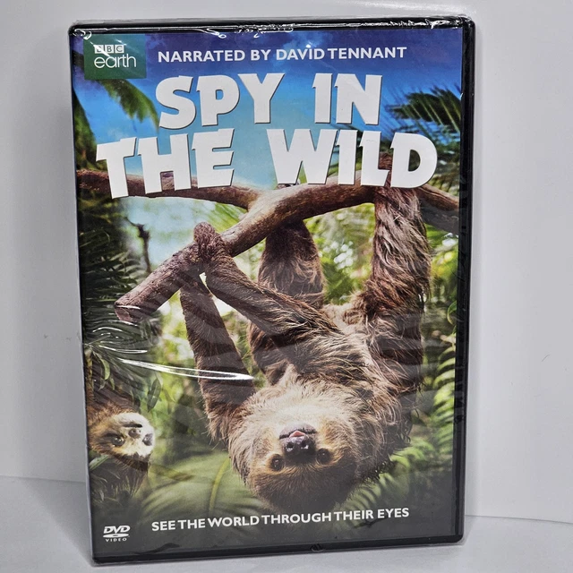 DVD SPY IN The Wild DAVID TENNANT $19.95 - PicClick AU