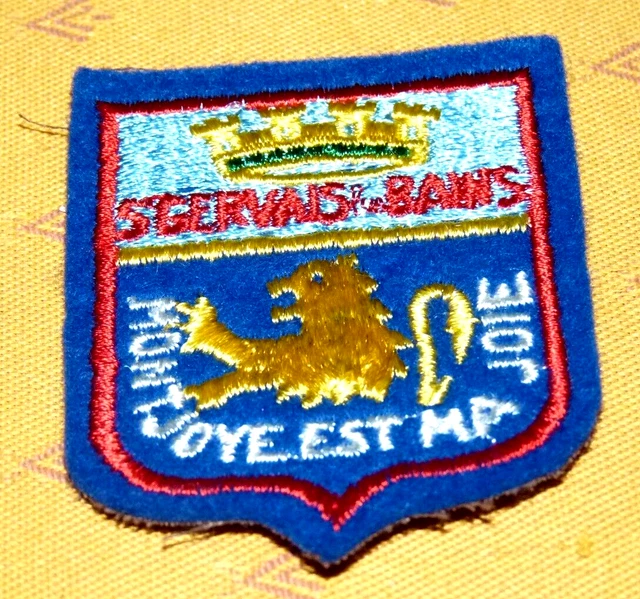 ANCIEN ÉCUSSON À coudre feutre brodé blason St Gervais les Bains Vintage patch EUR 5,00 ...