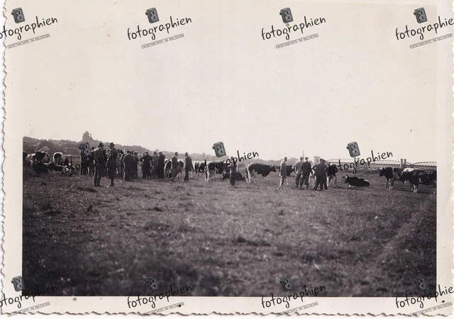ORGINAL FOTO OSTPREUSSEN Dirschau Danzig Weichsel Brücke 1934 EUR 9,90 ...